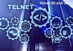 Telnet Ssh and vnc are which type of software